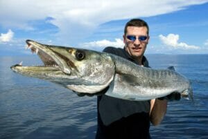 10 Aruba Fish Species You Should Know | TravelTips.org