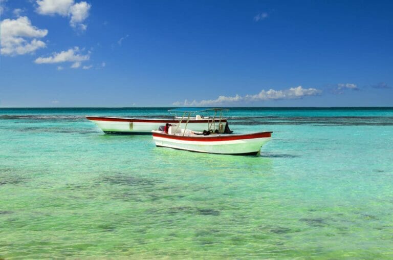 10 Aruba Fish Species You Should Know | TravelTips.org