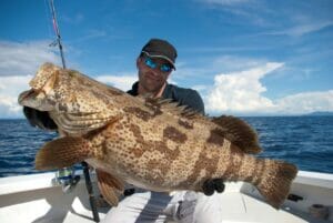 10 Aruba Fish Species You Should Know | TravelTips.org
