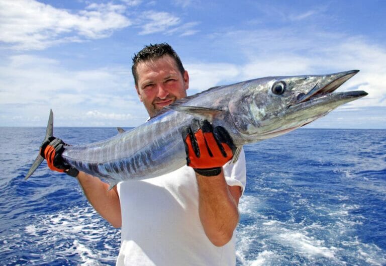 10 Aruba Fish Species You Should Know | TravelTips.org